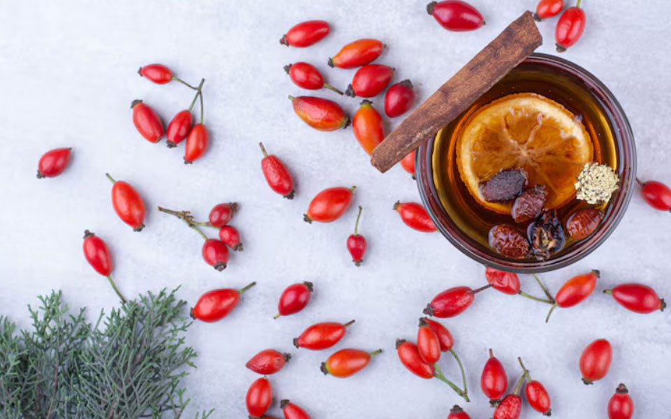 Rose Hip Oil - GM Botanicals
