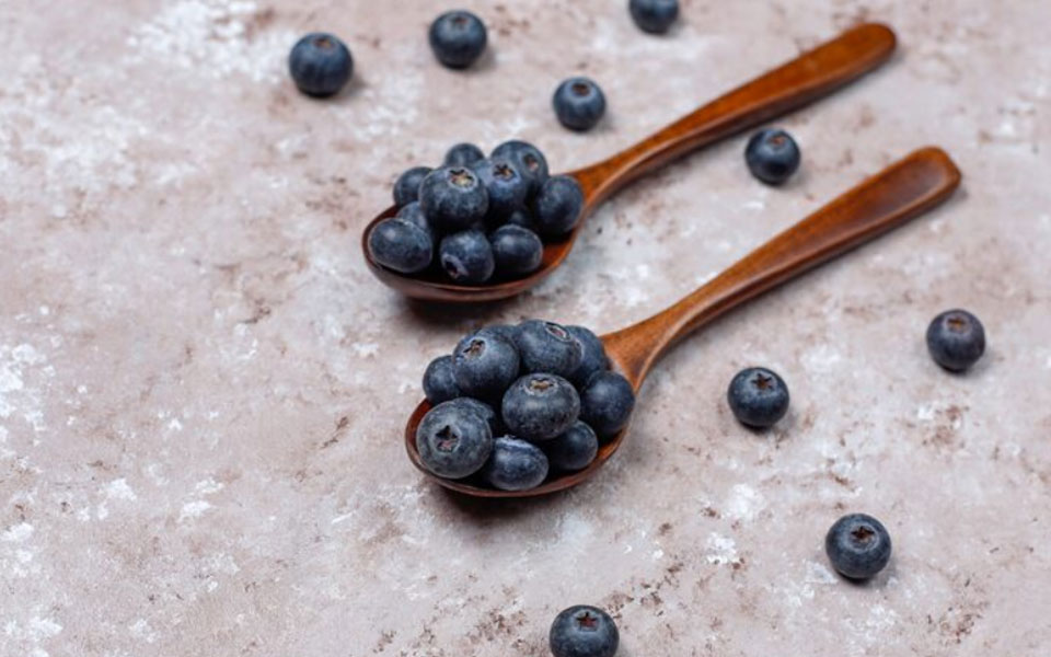 Blueberry Fibre - GM Botanicals
